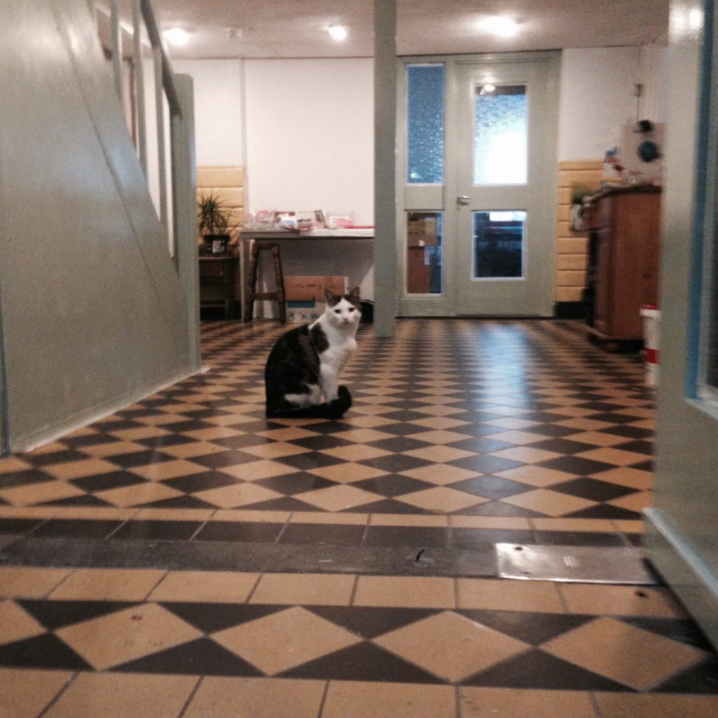 Woehoe! – NieuwLand